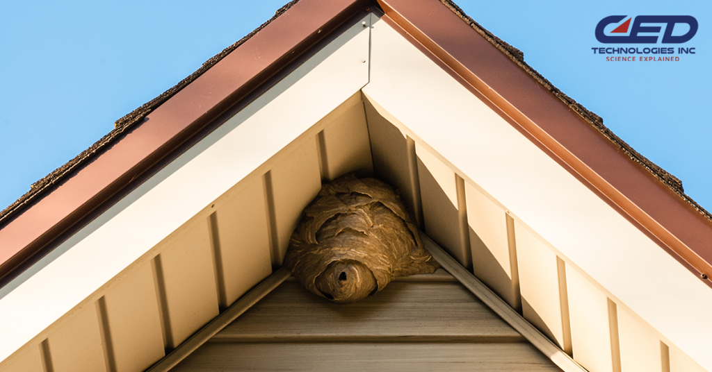 Get the Buzz on Insect Nests - CED Technologies, Inc.