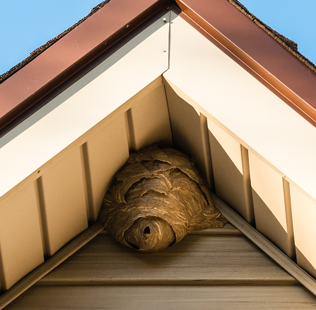 Featured Speaker: James Schofield with VADA - CED Technologies, Inc.